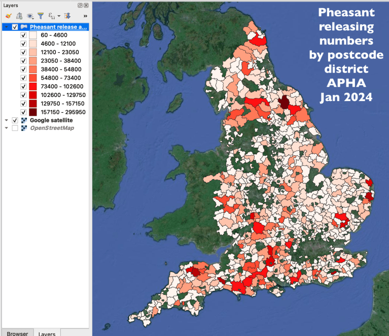 Just 131 shoots & game farms rear and release 6.2million pheasants ...