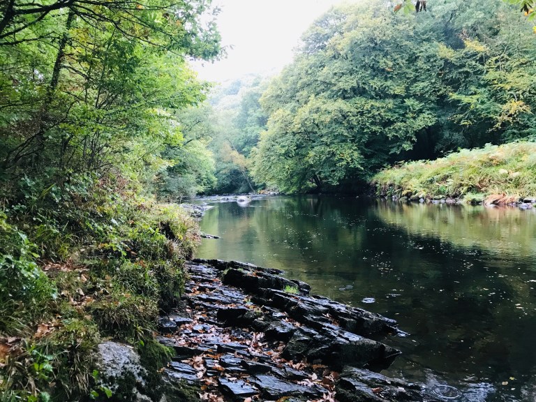 Who owns the River Dart? – Who owns England?