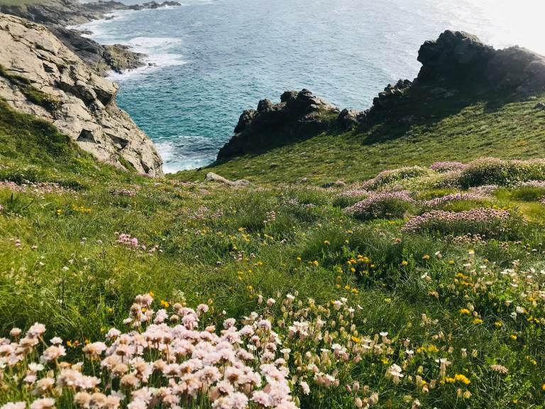 Mapping England’s Landscape Recovery Projects – Who owns England?